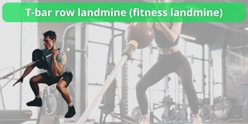 T-bar Row Landmine - Wat je moet weten voor het kopen
